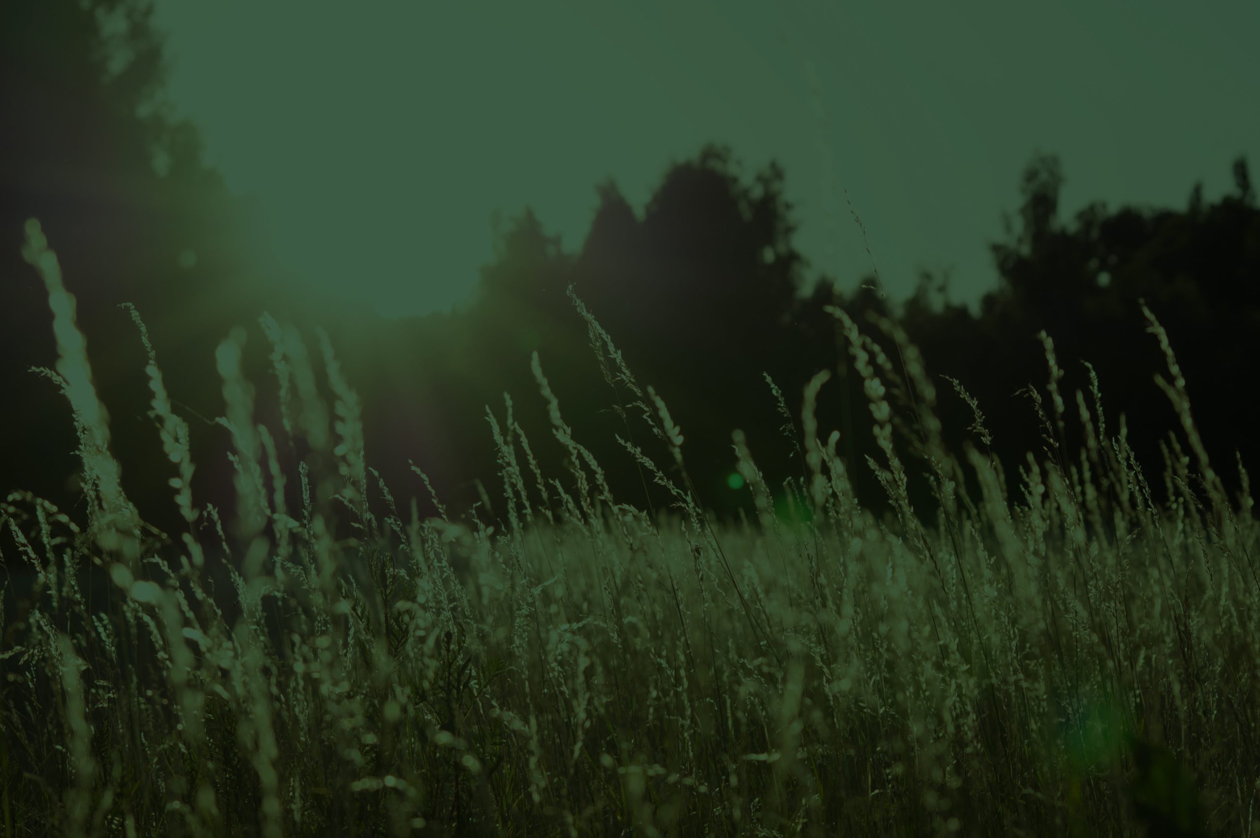 Find a Camp – Saskatchewan Camping Association